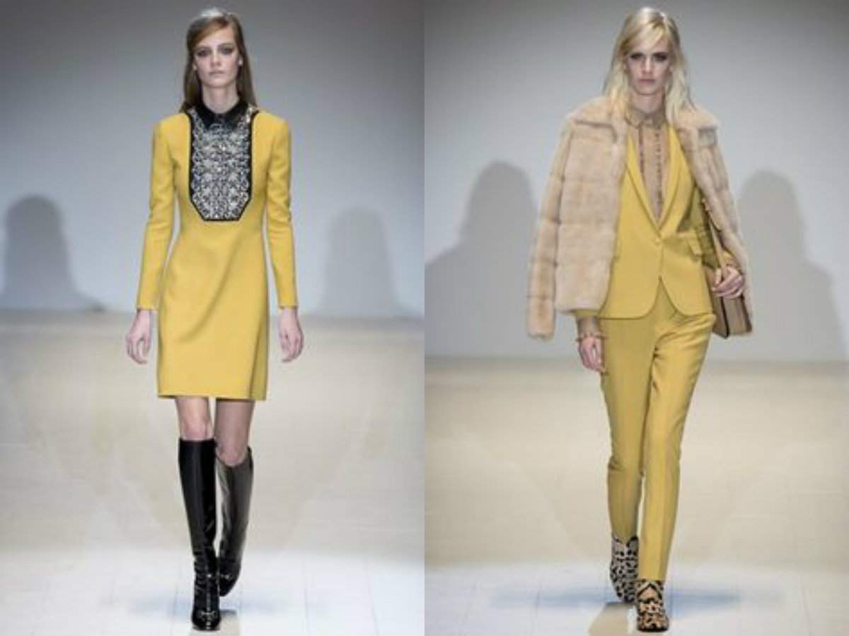 Gucci Fall 2014 RTW Collection