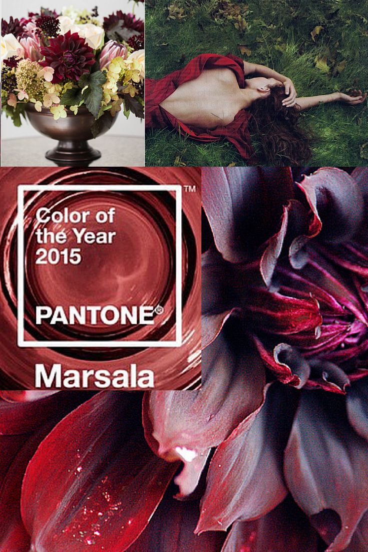 Everything You Have To Know About 2015's Color: Marsala